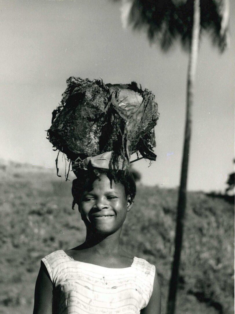 History - Geest Line