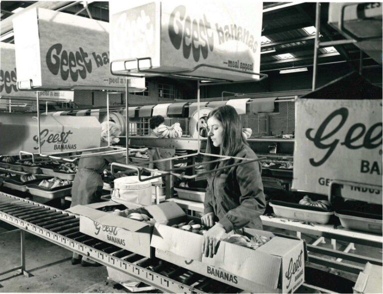 History - Geest Line