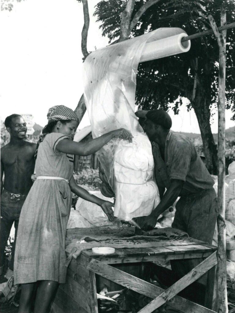 History - Geest Line