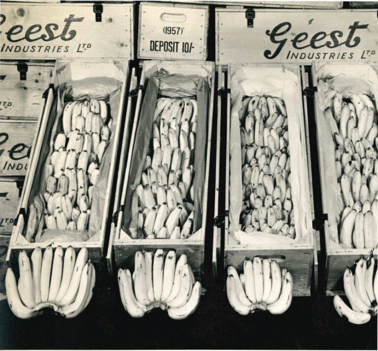 History - Geest Line